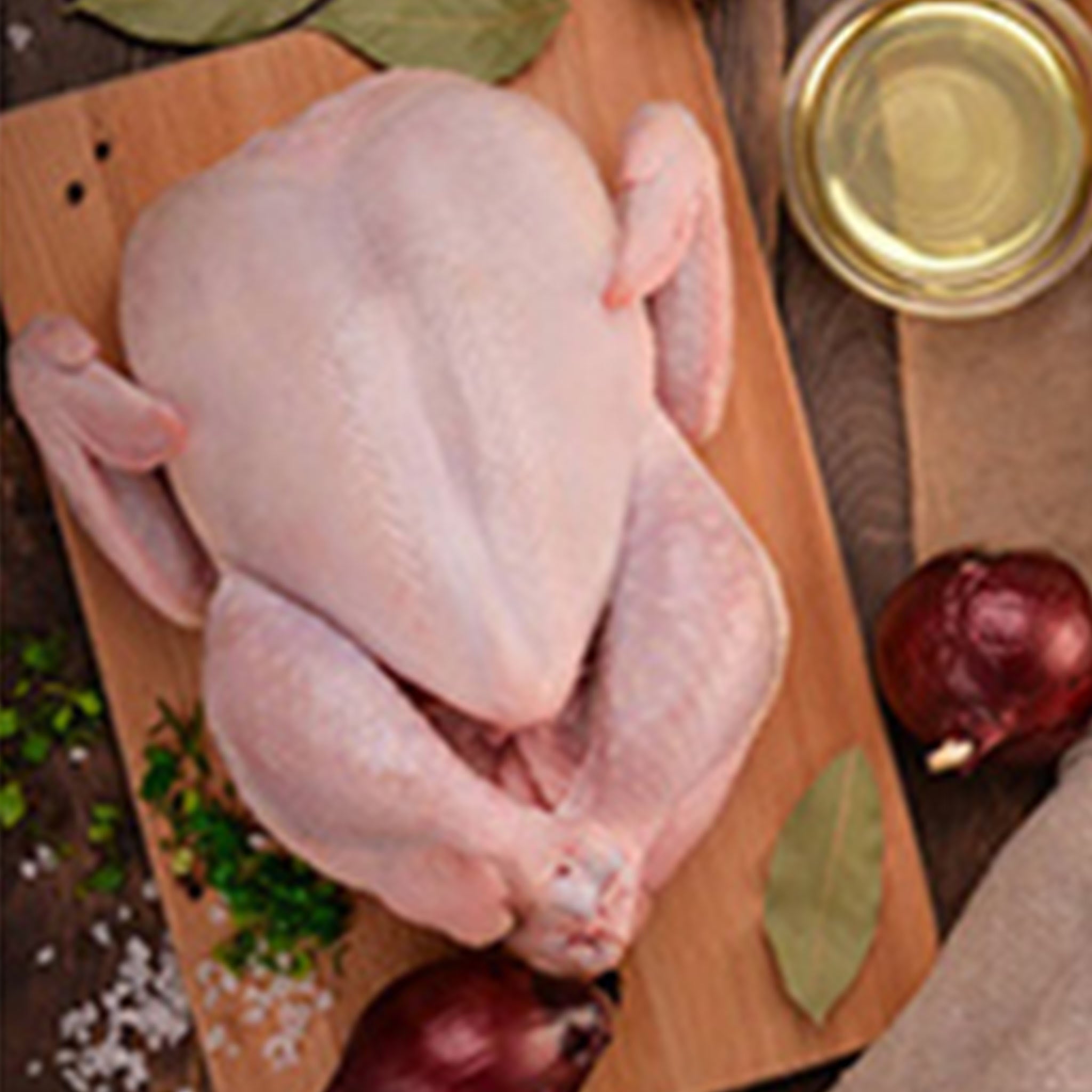 Koleksi – Japfa Best Online